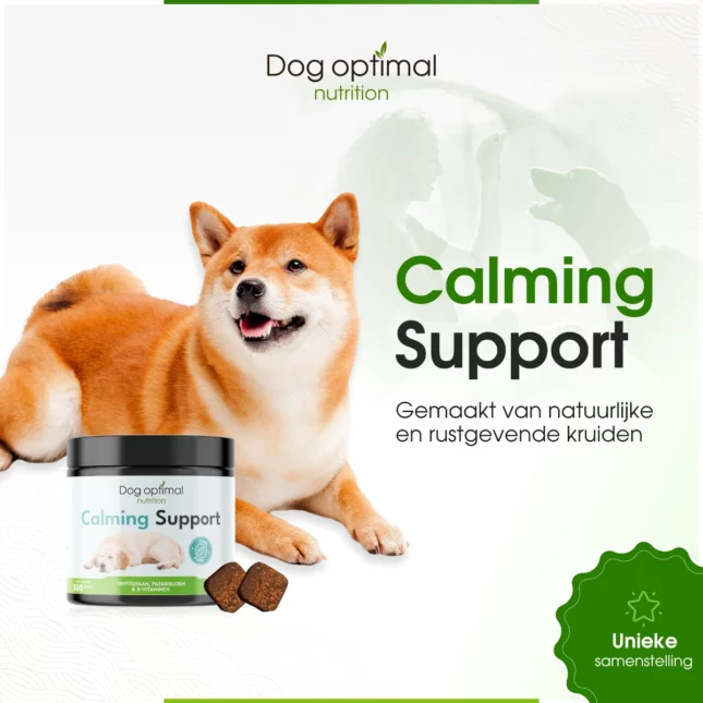 Koop Calming Support Hond | Minder Stress Nu