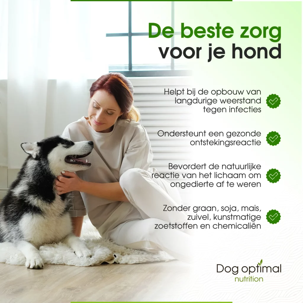 Waarom zijn Teken en Vlooien Gevaarlijk voor Honden