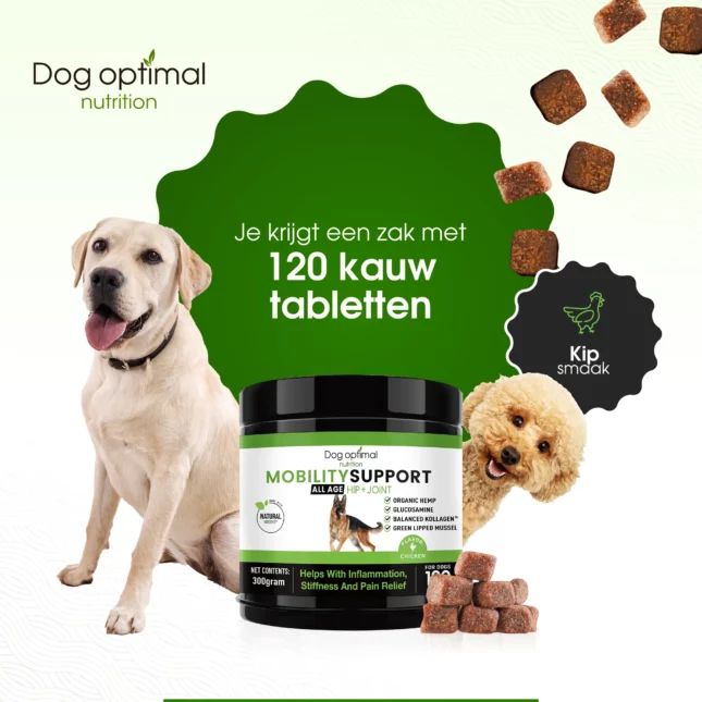 Mobility Support hondensupplementen [AANRADER] | Dog Optimal